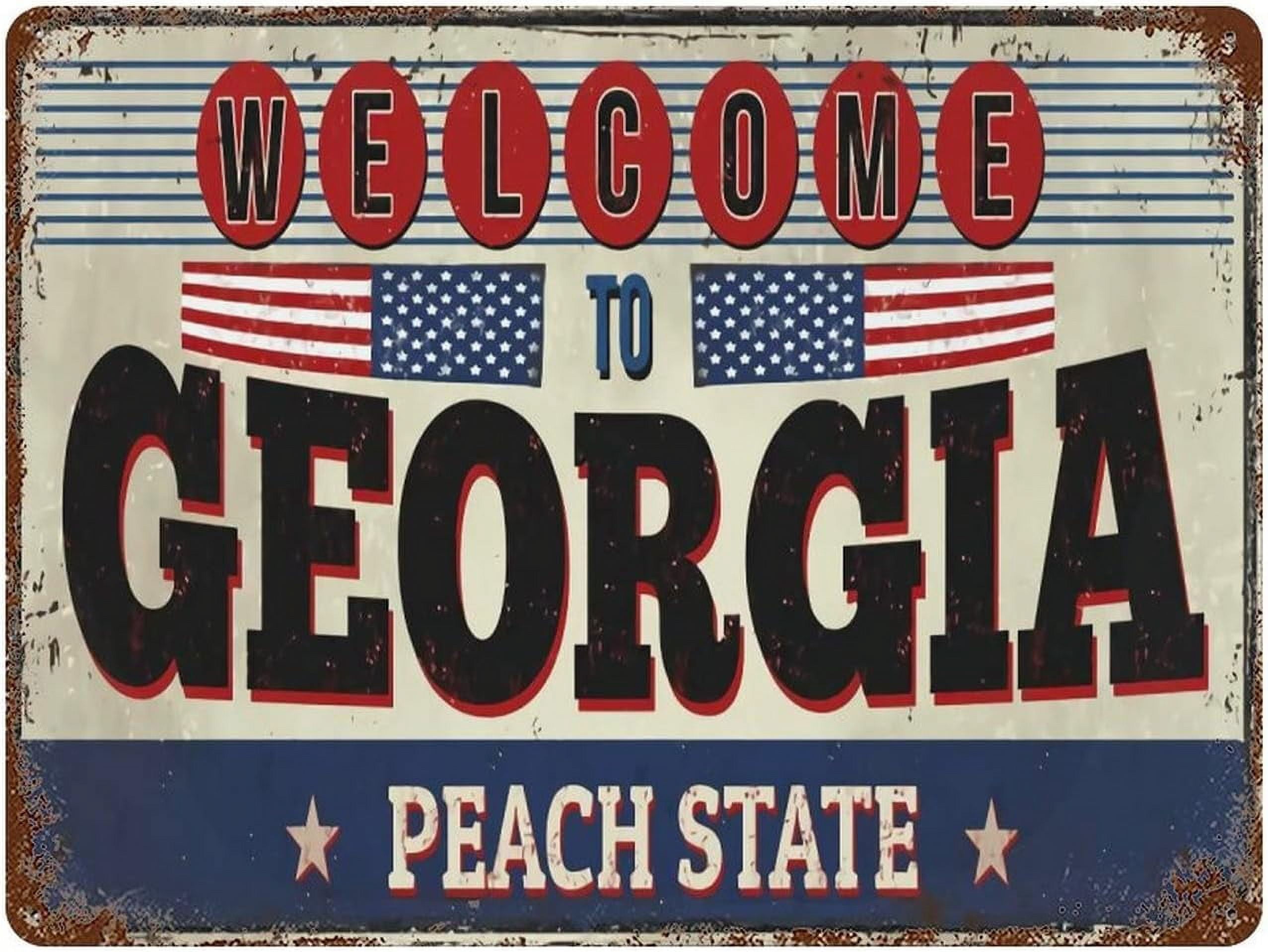 DAIWUGOU Wall Decor Tin Sign Welcome to georgia vintage Iron Painting ...
