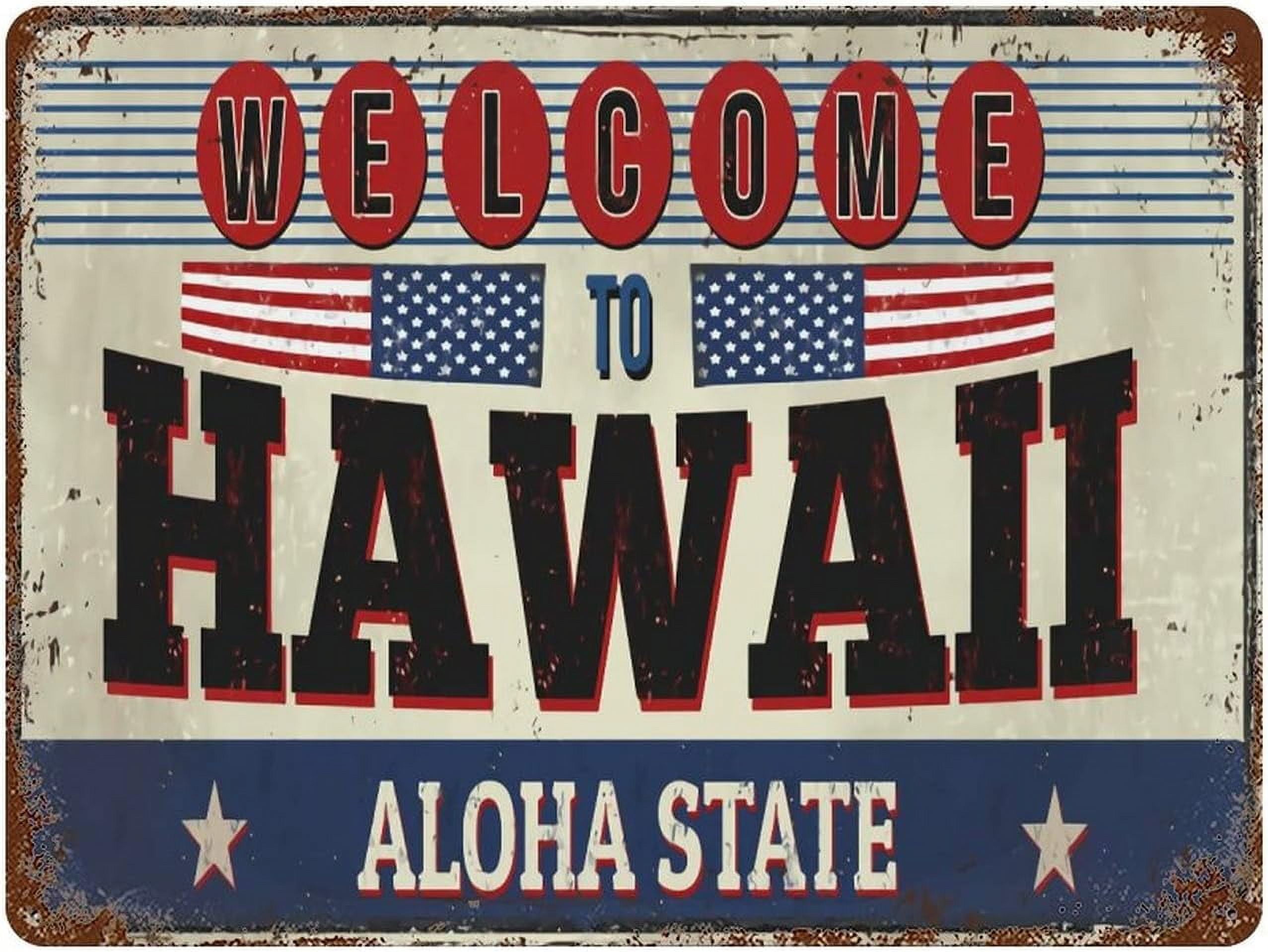 DAIWUGOU Wall Decor Tin Sign Welcome to hawaii vintage Iron Painting ...