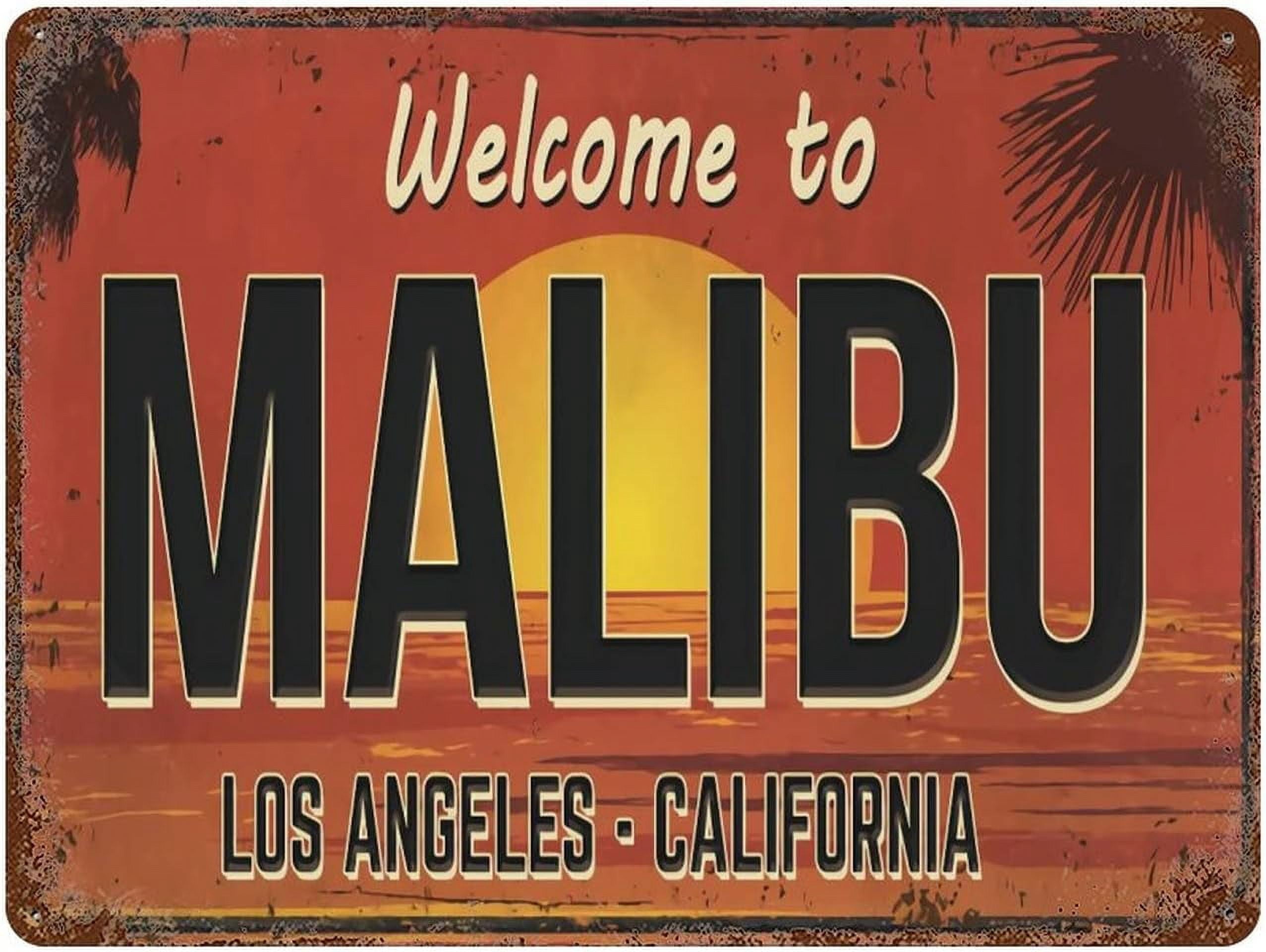DAIWUGOU Wall Decor Tin Sign Welcome to malibu vintage Iron Painting ...