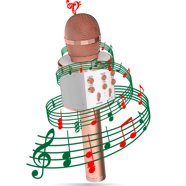 Gabby's Dollhouse Sing-Along Microphone with Built-In Music from the ...