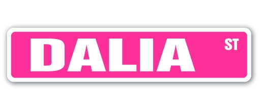 DALIA Street Sign Childrens Name Room Sign | Indoor/Outdoor | 30" Wide ...