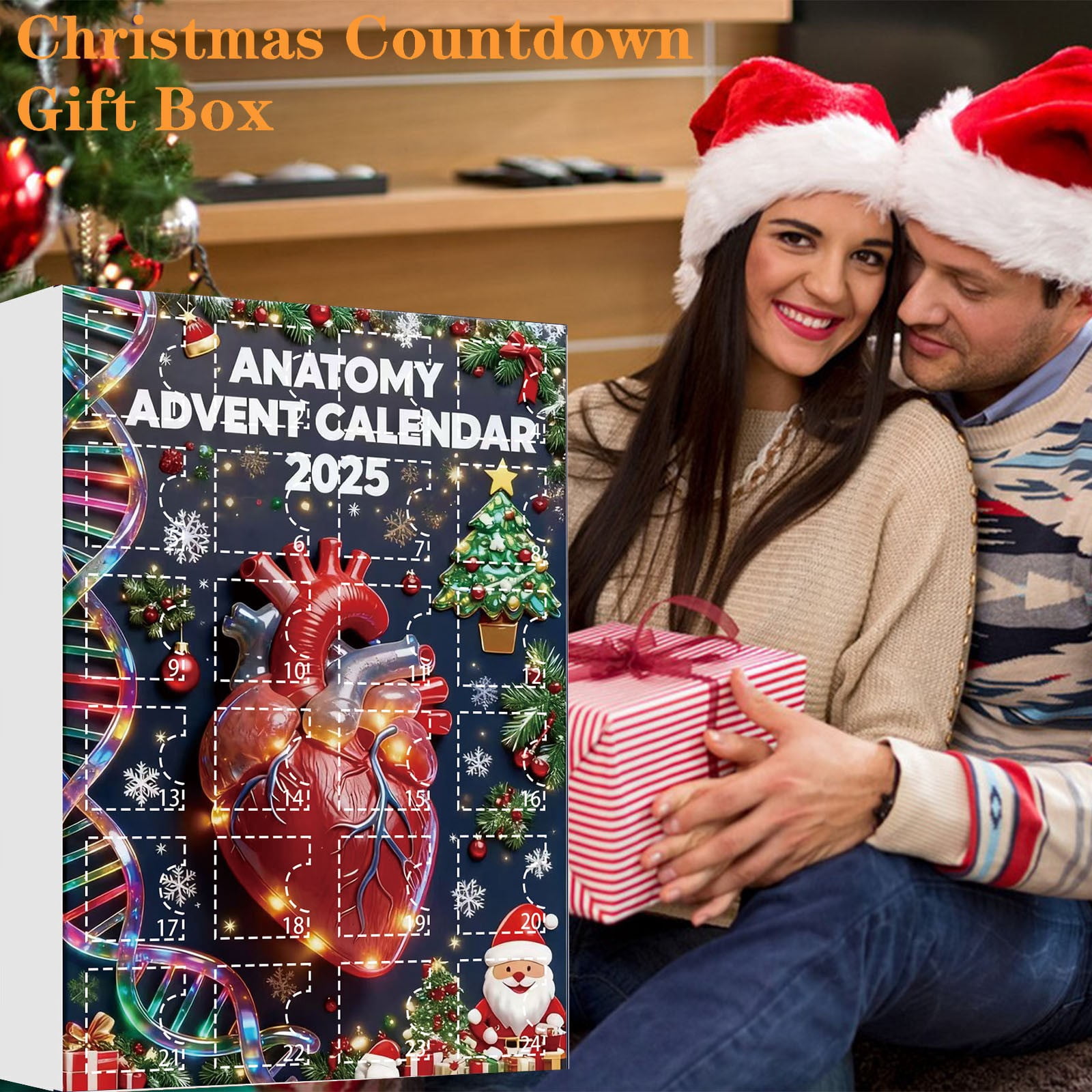 DAMAI 2025 Human Anatomy Christmas Advent Calendar, 24 Days of Human ...