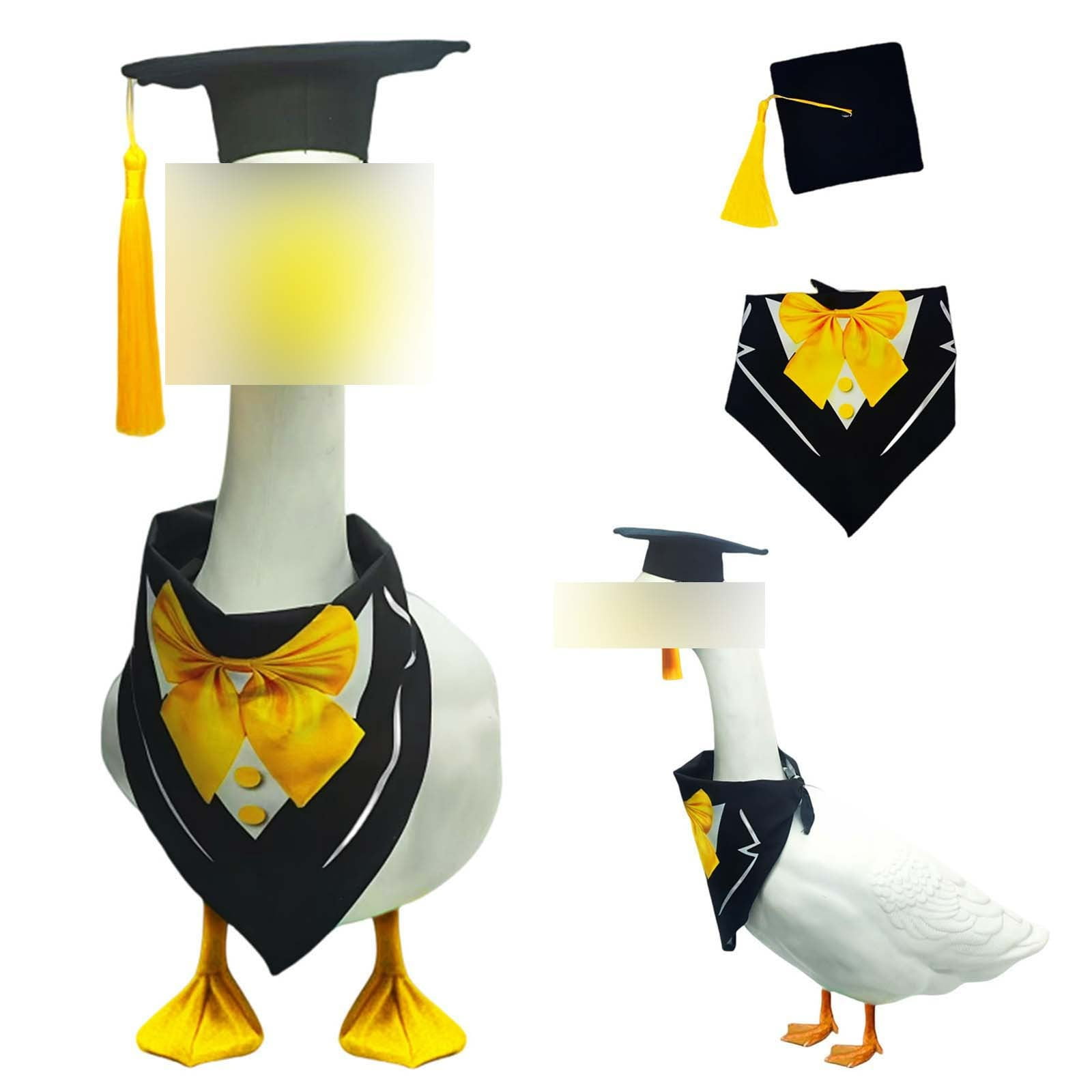DAMAI Graduation Porch Goose Outfit,Funny Porch Goose Decoration Set ...