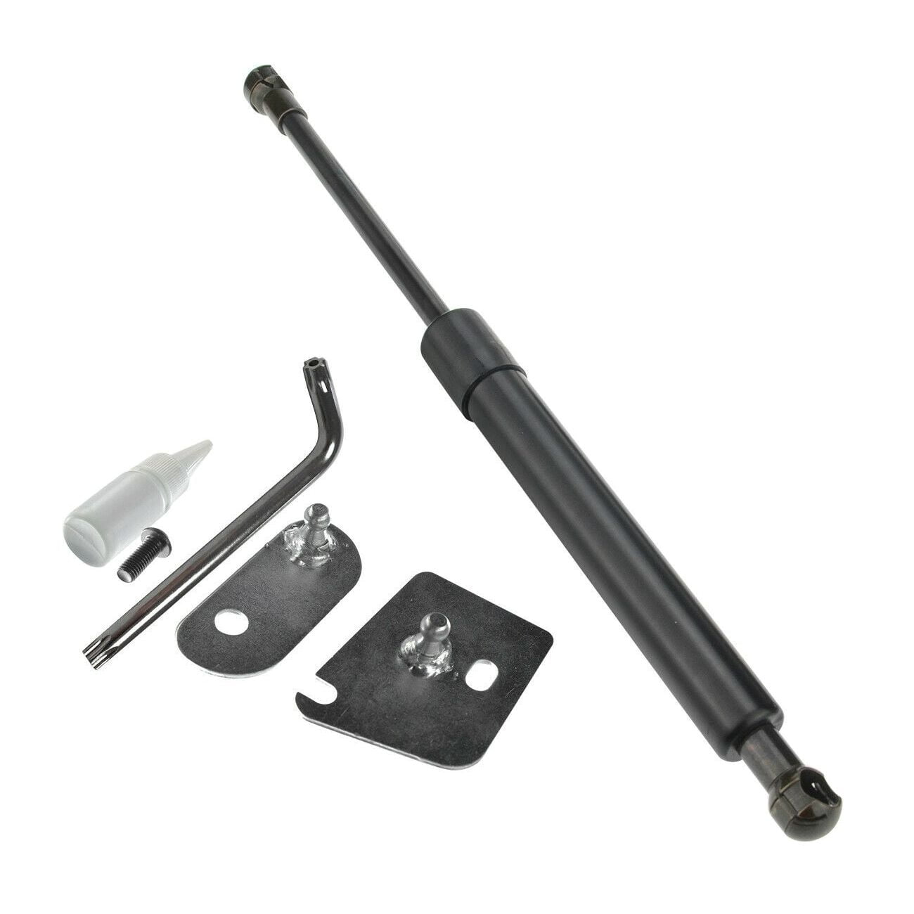 DAMAIJOY Tailgate Assist Lift Supports Shock Struts Bar for Ford for ...
