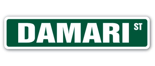 DAMARI Street Sign Childrens Name Room Sign | Indoor/Outdoor | 30" Wide ...