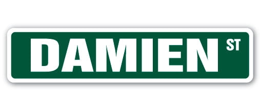 DAMIEN Street Sign Childrens Name Room Sign | Indoor/Outdoor | 30" Wide ...
