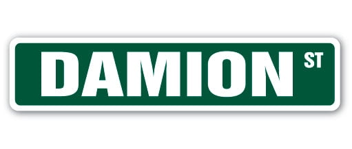 DAMION Street Sign Childrens Name Room Sign | Indoor/Outdoor | 36" Wide ...