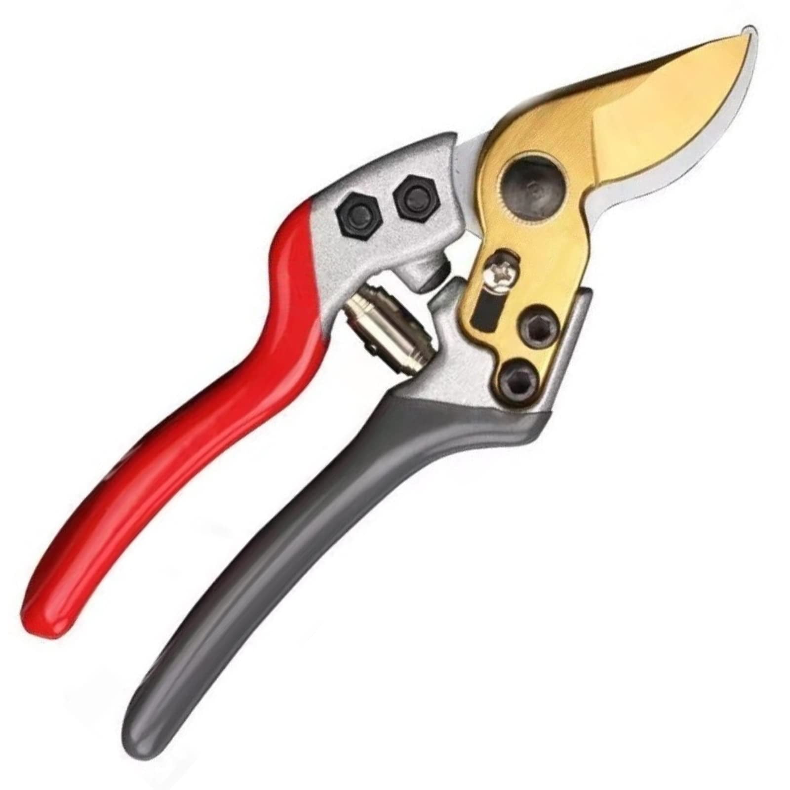 DAMOTEC garden clippers,gardening tools, for trimming rose, floral, tree, live plants, sharp ...