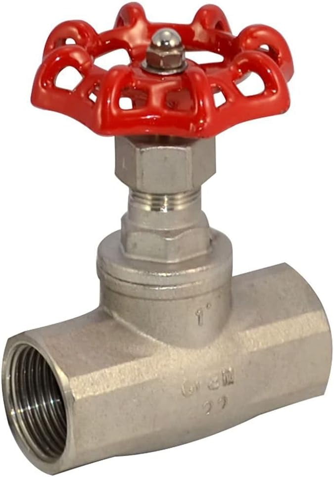 DAN SPEED SUS SS 316 Heavy Duty Globe 1“ Valve Stainless Steel CF8M NPT (1“) - Walmart.com
