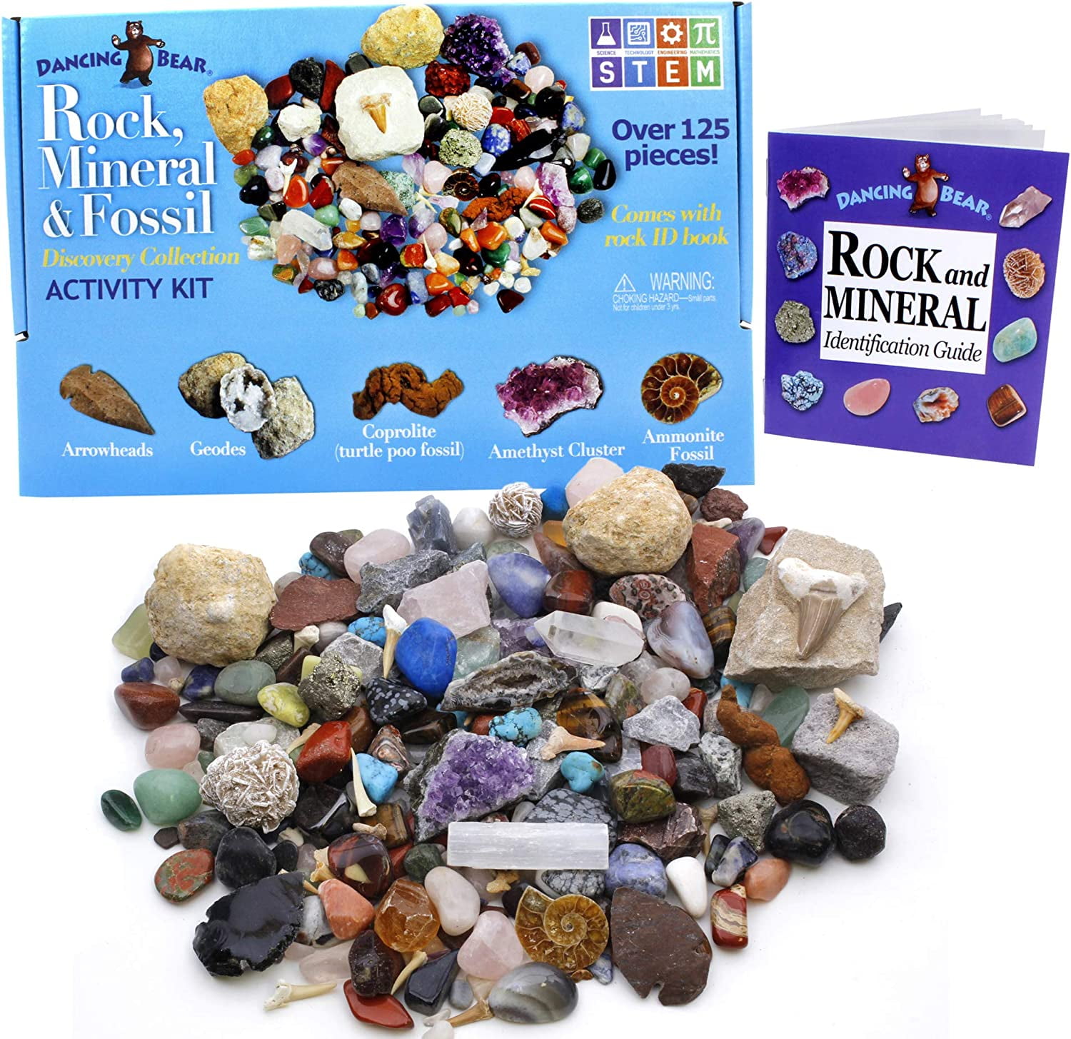 DANCING BEAR Kids Rock, Mineral & Fossil Collection Activity Kit ...