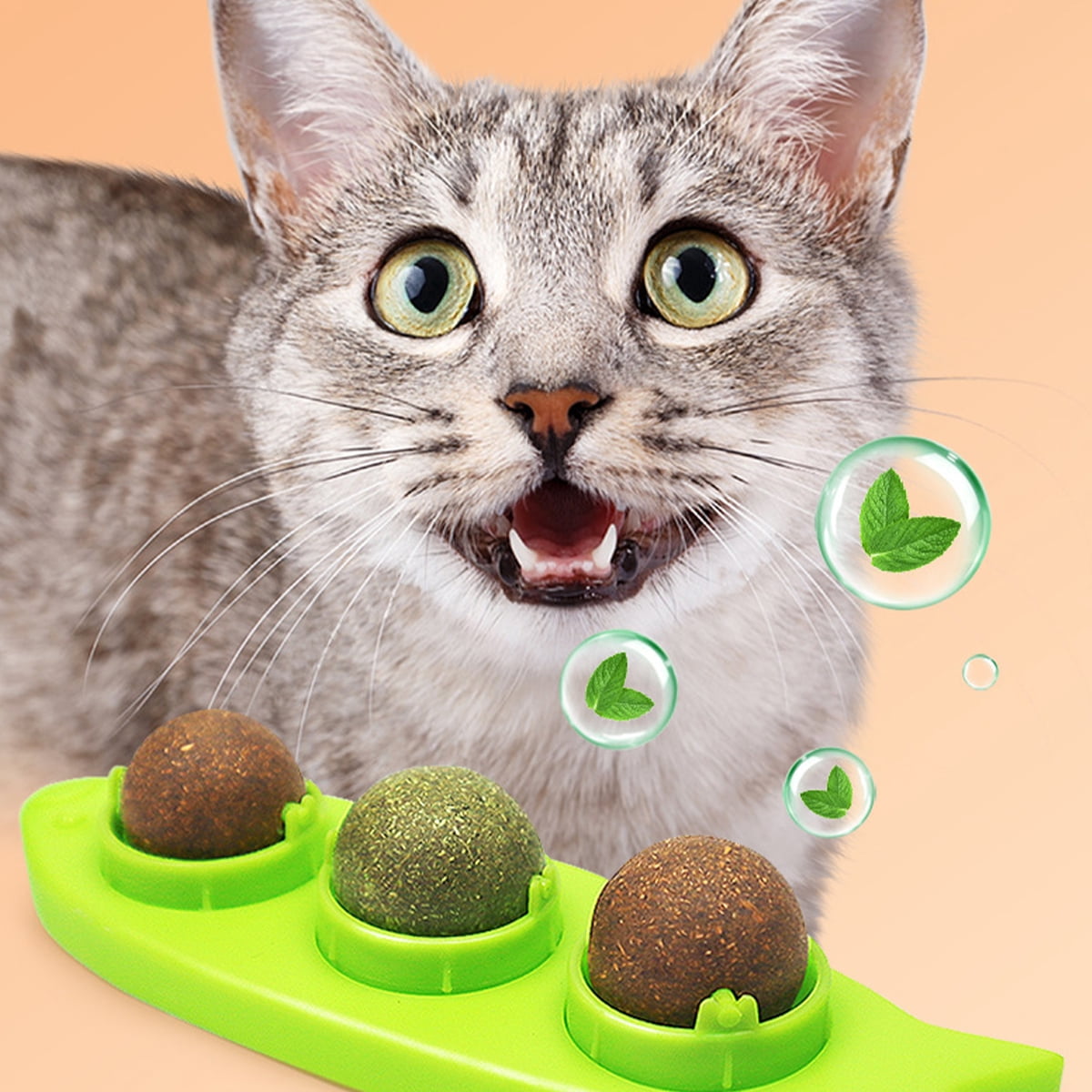 DANDELIONSKY Catnip Balls for Cats Wall,Rotatable Indoor Interactive ...