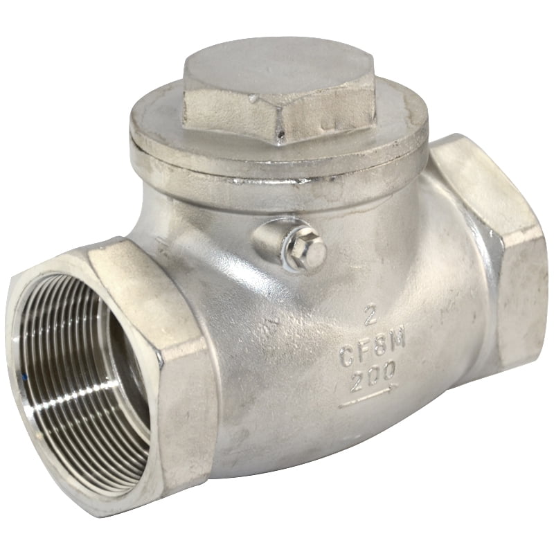 DANSPEED 2" inch Stainless Steel SS316 Swing Check Valve,NPT Female ...