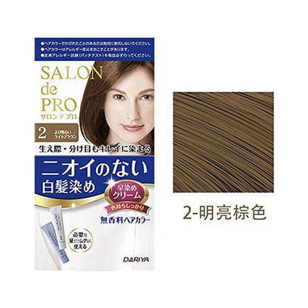 DARIYA Salon De Pro Ammonia Free Hair Dye Color Silk For Gray Hair - 6 ...