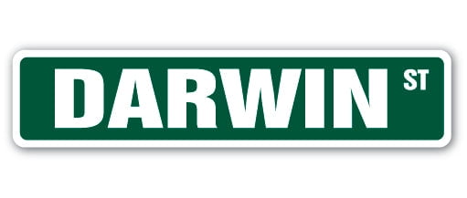 DARWIN Street Sign Childrens Name Room Sign | Indoor/Outdoor | 36" Wide ...