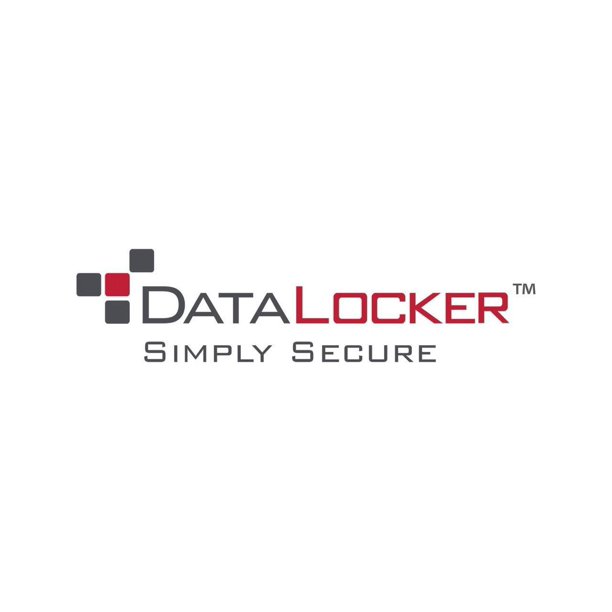DATA LOCKER AlphaTalk TAA Compliant Wired USB Headset - Walmart ...
