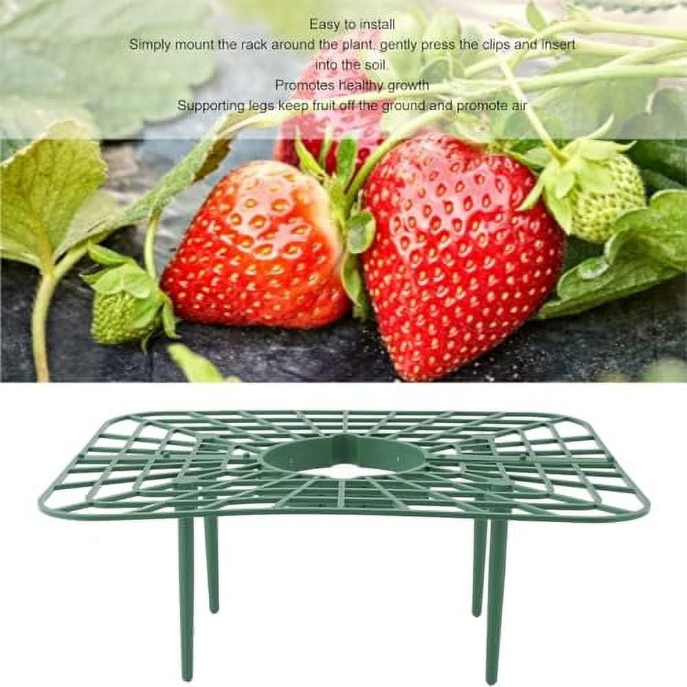 DAUZ Strawberry Plant Support, 20 Pack Square Strawberry Growing Racks ...