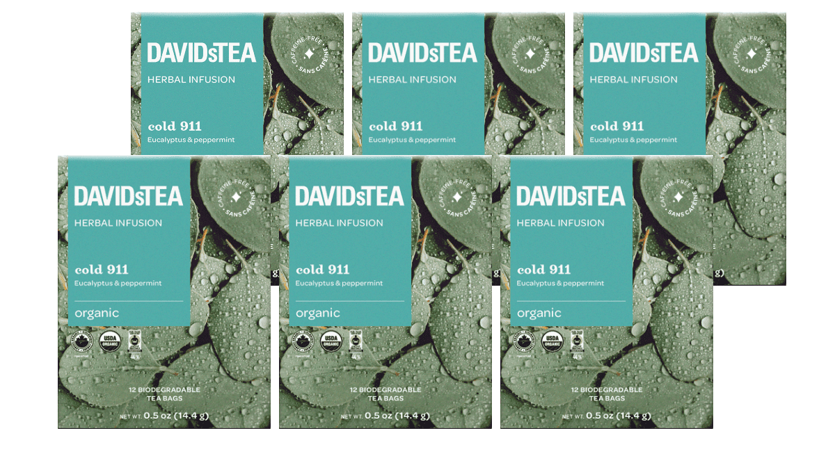 DAVIDsTEA Cold 911 Tea Bags, Herbal Tea, 12 Count per Box, Case of 6 ...