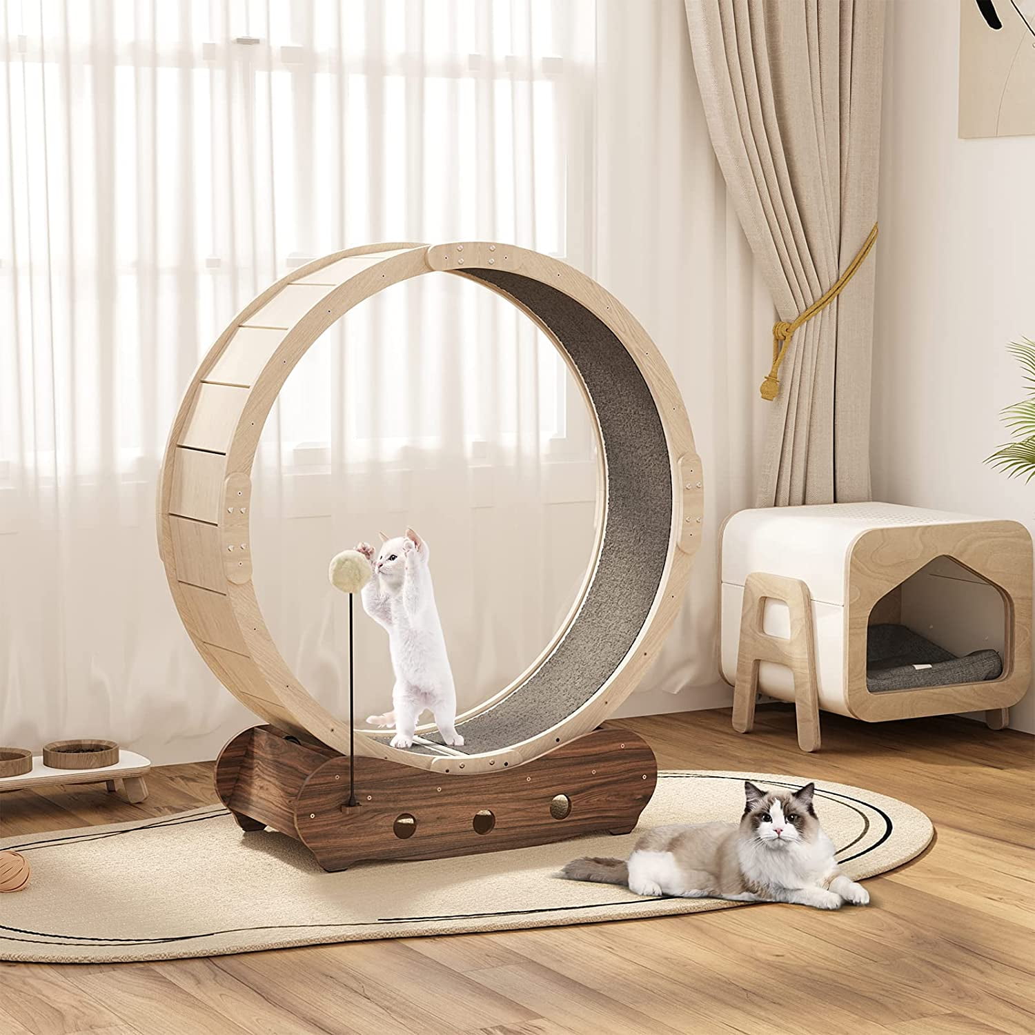 DAWNSPACES 37.4" Diameter Cat Exercise Wheel, Cats Treadmill, Cat Wheel ...