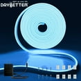 DAYBETTER, Blue LED Neon Rope Lights 24V, 16.4ft, IP65 waterproof ...