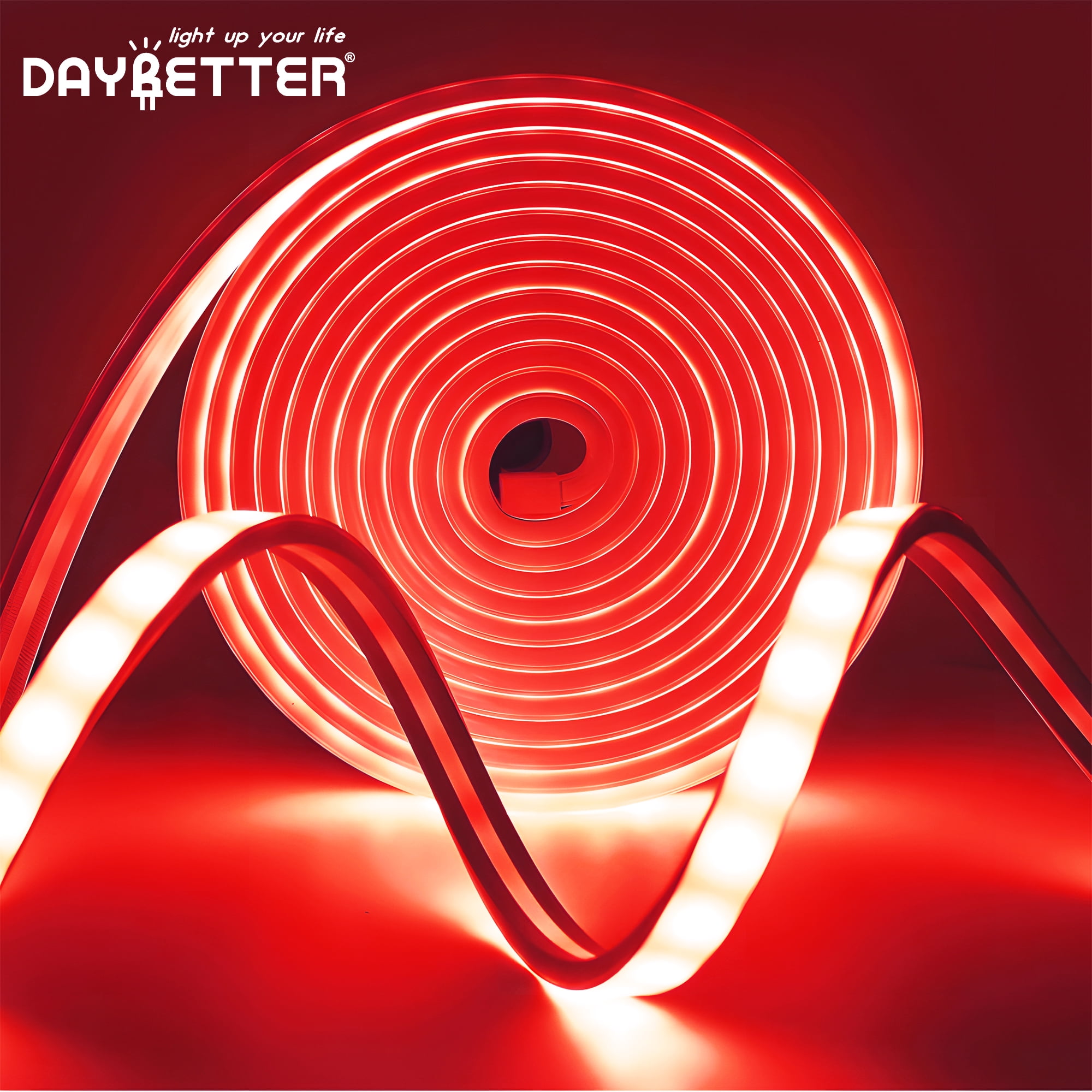 DAYBETTER 16.4ft Red LED Neon Rope Lights, 24v Low Voltage and IP65 ...
