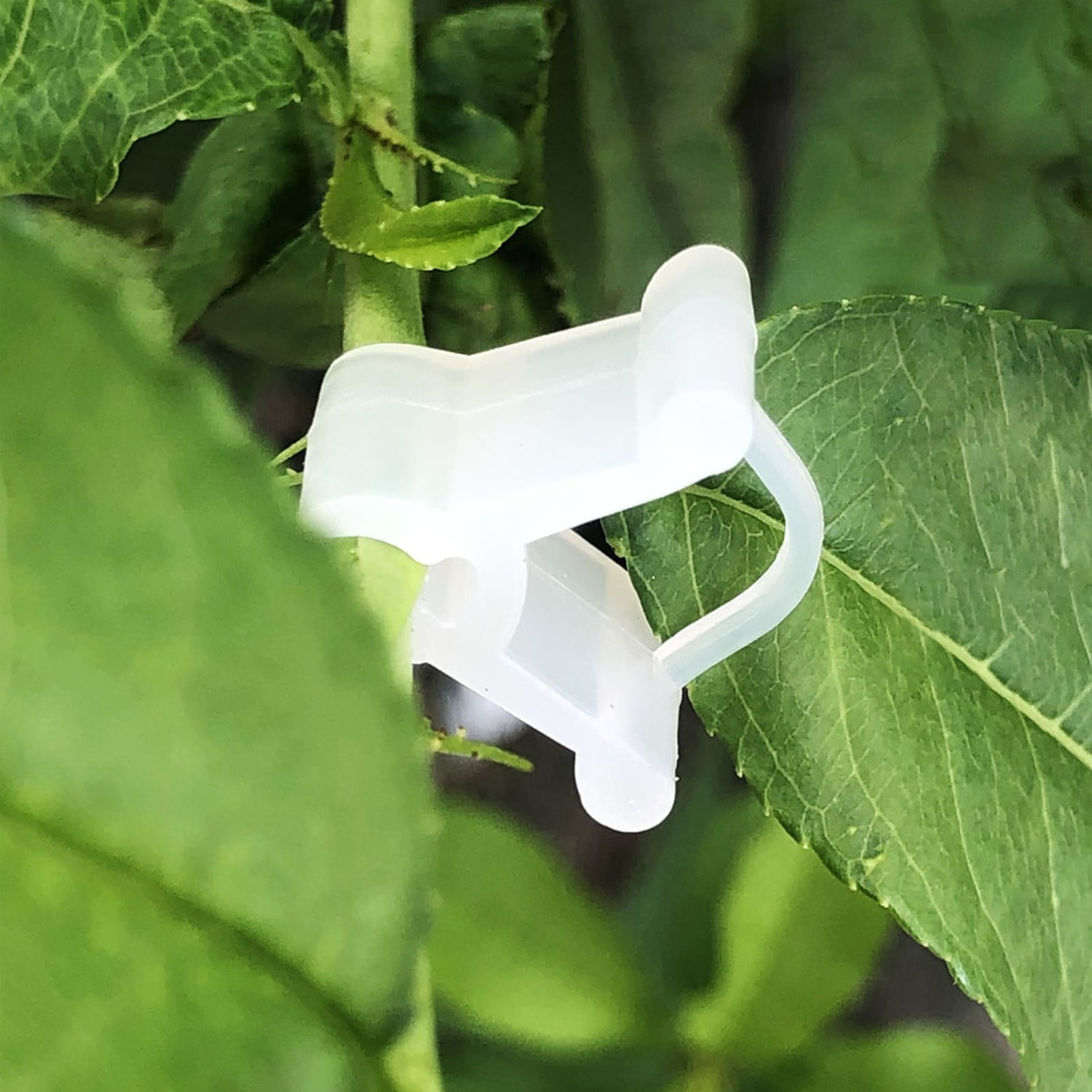 DBYLXMN 100PCS Gardening Supplies Garden Grafting Clip Tomato Seedling ...