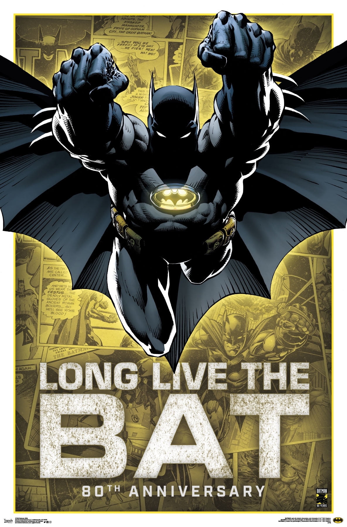 DC Comics - Batman - 80th Anniversary Wall Poster, 22.375" x 34 ...