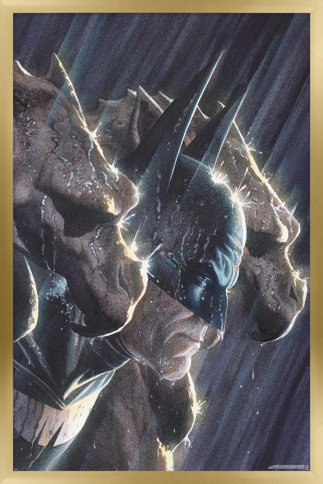 DC Comics Batman - Alex Ross Gargoyles Wall Poster, 22.375" x 34 ...