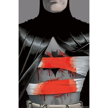 DC Comics - Batman and Robin The Boy Wonder Wall Poster, 14.725" x 22. ...