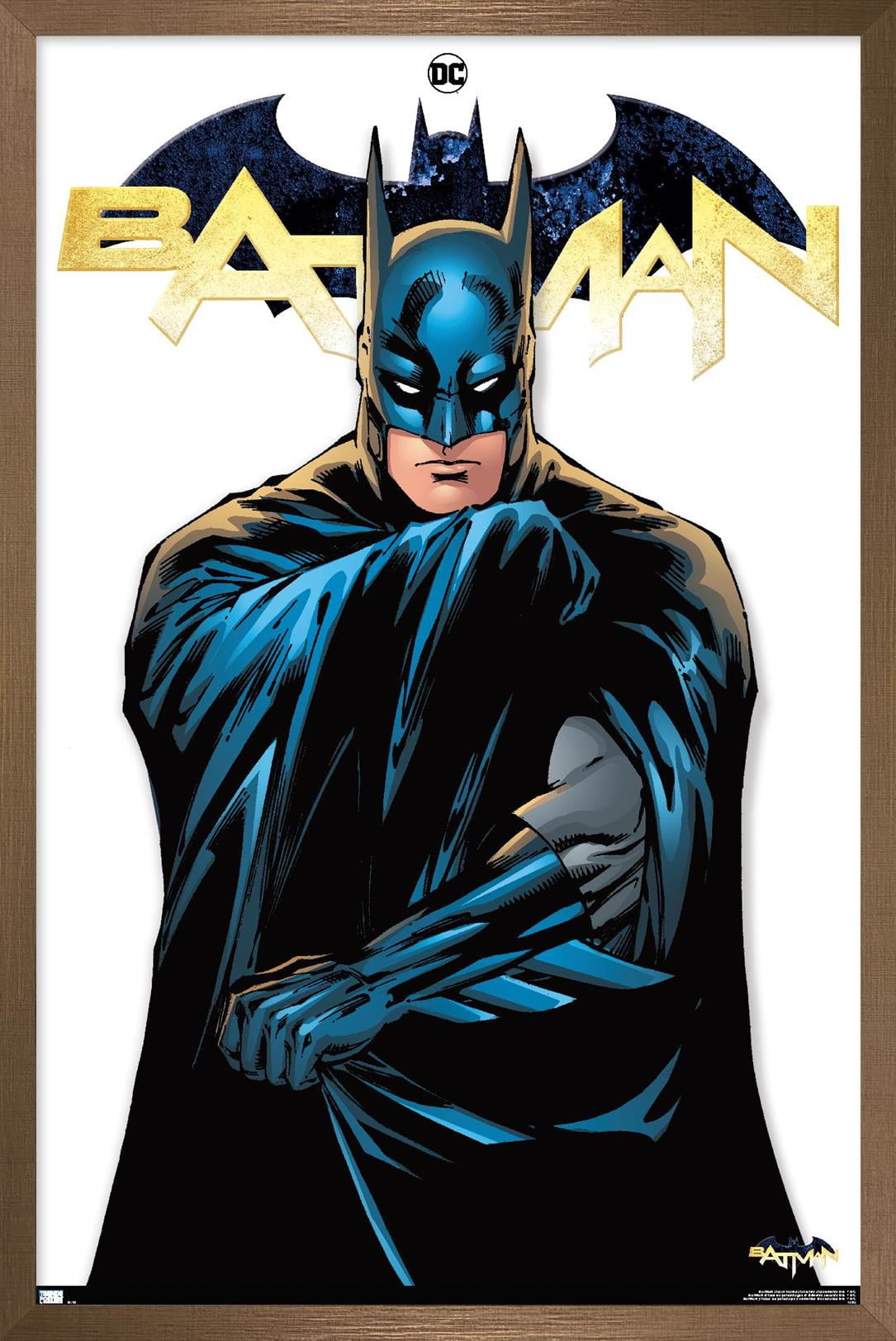 DC Comics - Batman Feature Series Wall Poster, 14.725" x 22.375" Framed ...