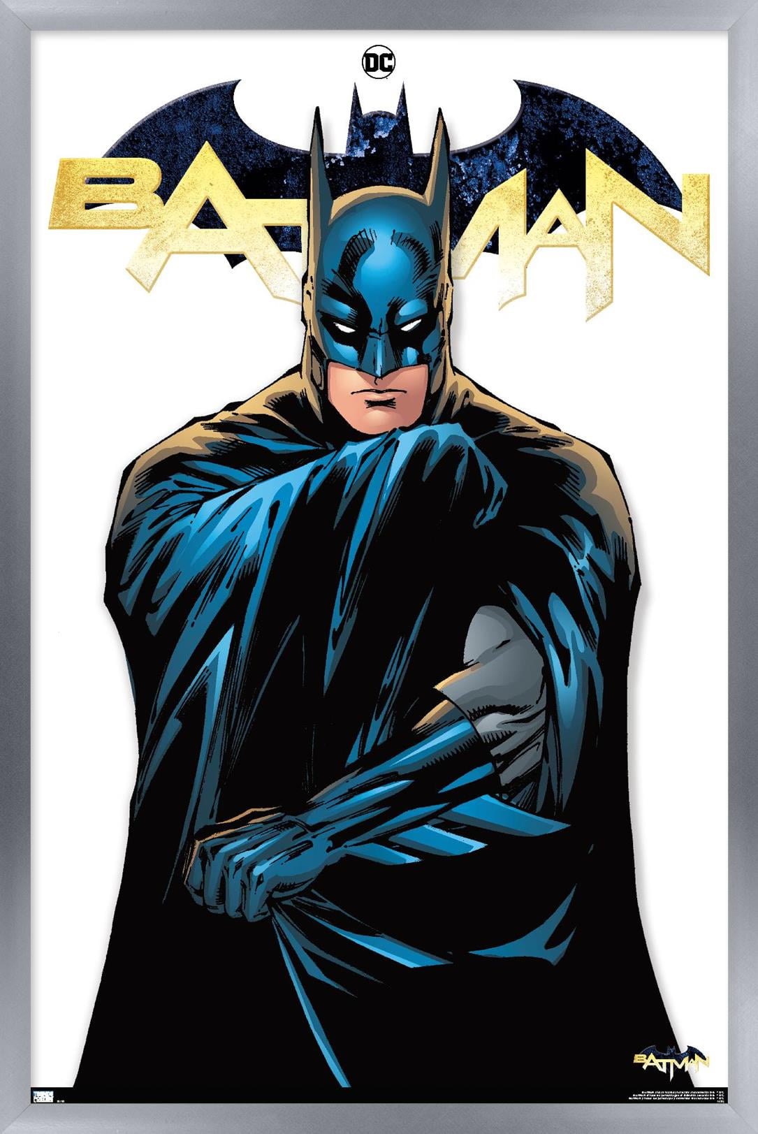 DC Comics - Batman Feature Series Wall Poster, 14.725" x 22.375" Framed ...