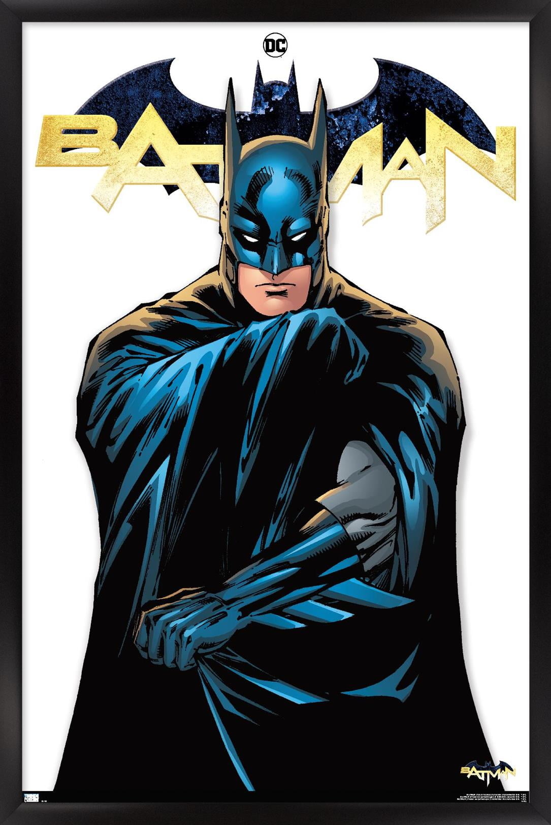 DC Comics - Batman Feature Series Wall Poster, 14.725" x 22.375" Framed ...
