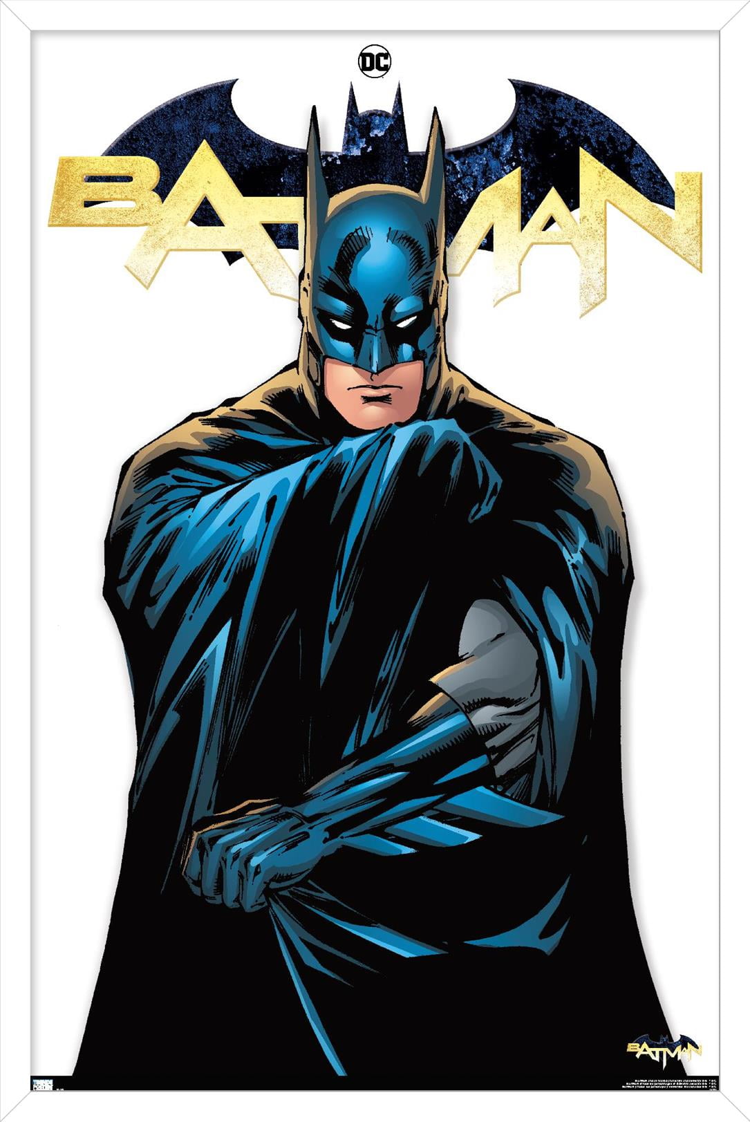 DC Comics - Batman Feature Series Wall Poster, 14.725" x 22.375" Framed ...