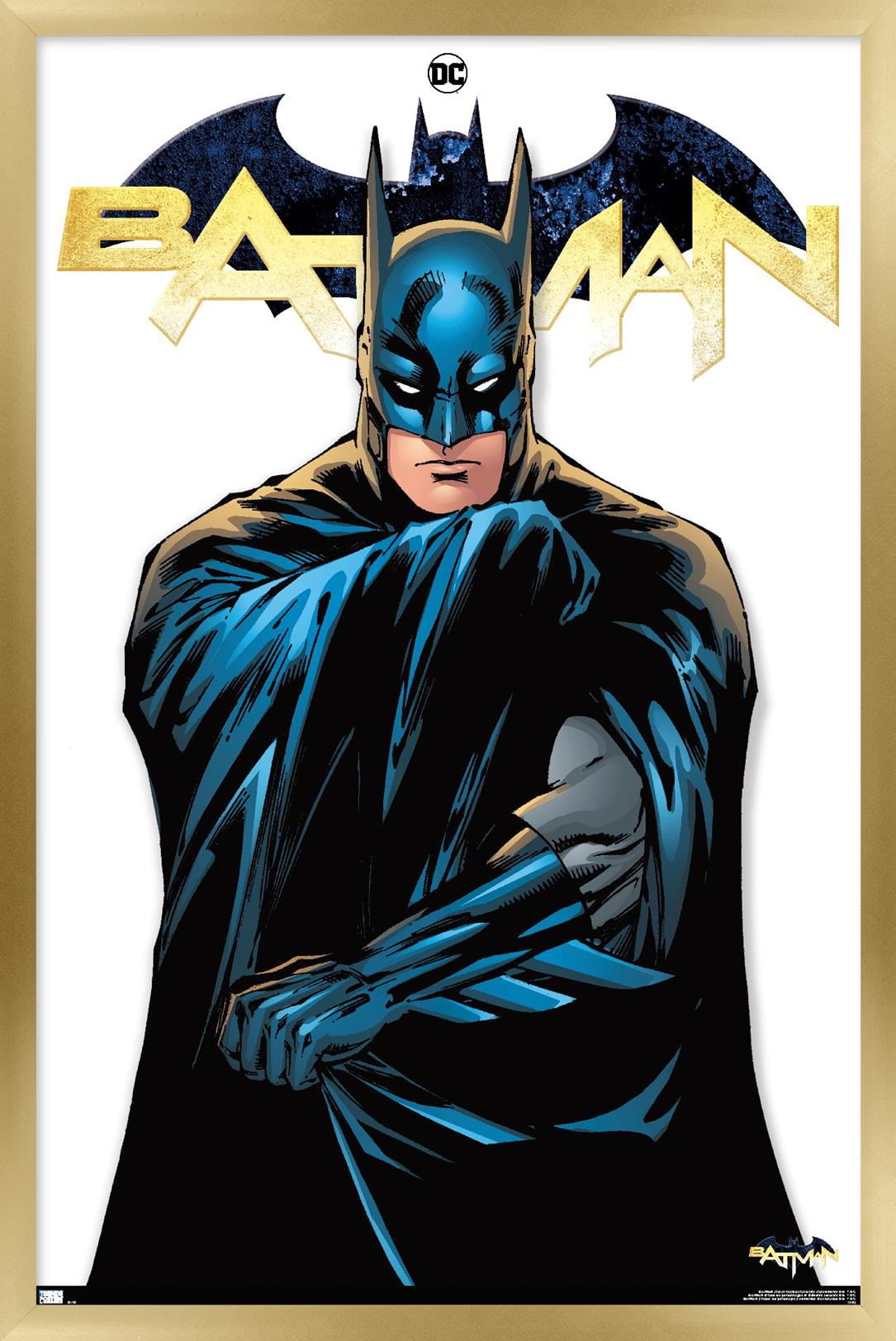 DC Comics - Batman Feature Series Wall Poster, 14.725" x 22.375" Framed ...