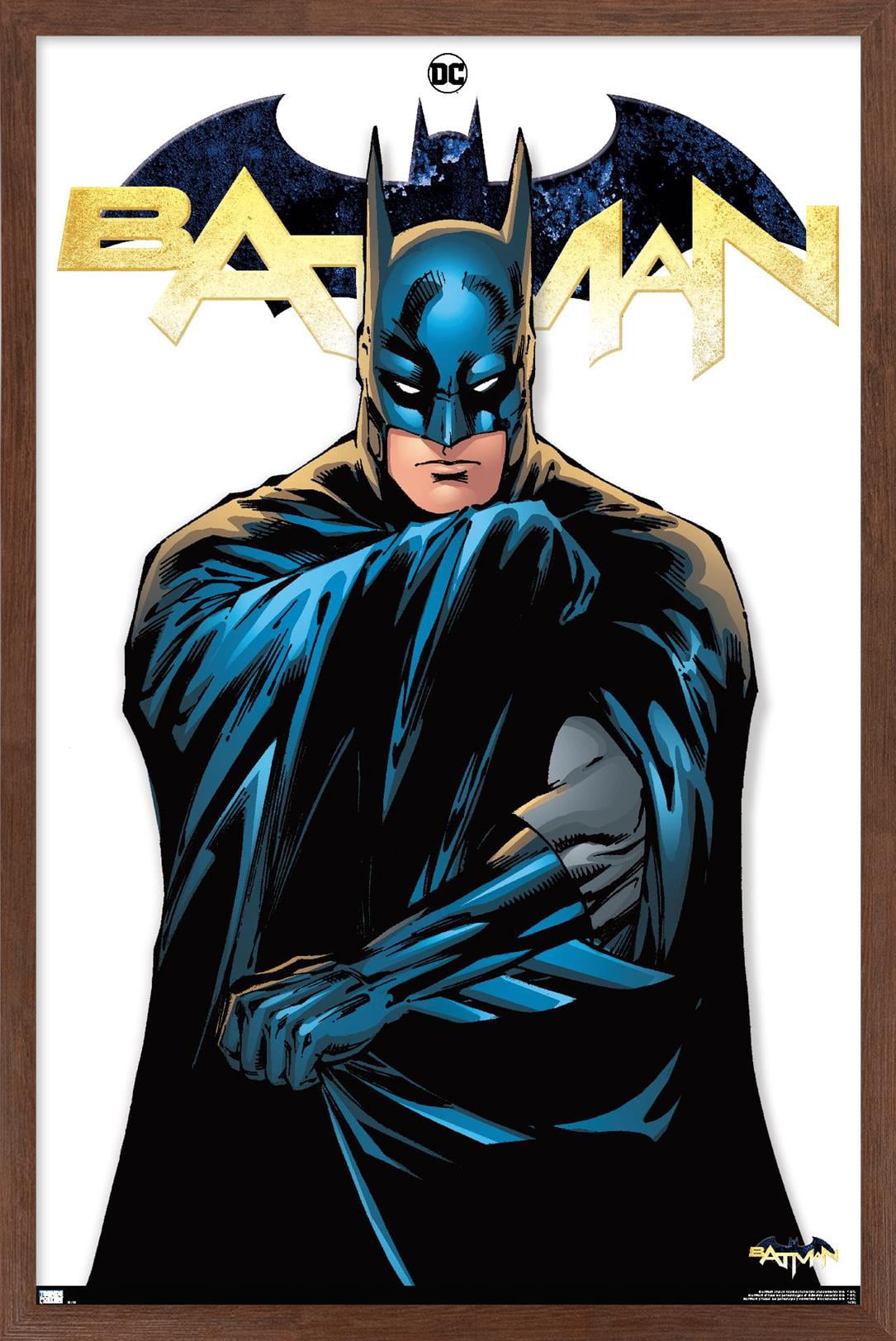 DC Comics - Batman Feature Series Wall Poster, 22.375" x 34" Framed ...