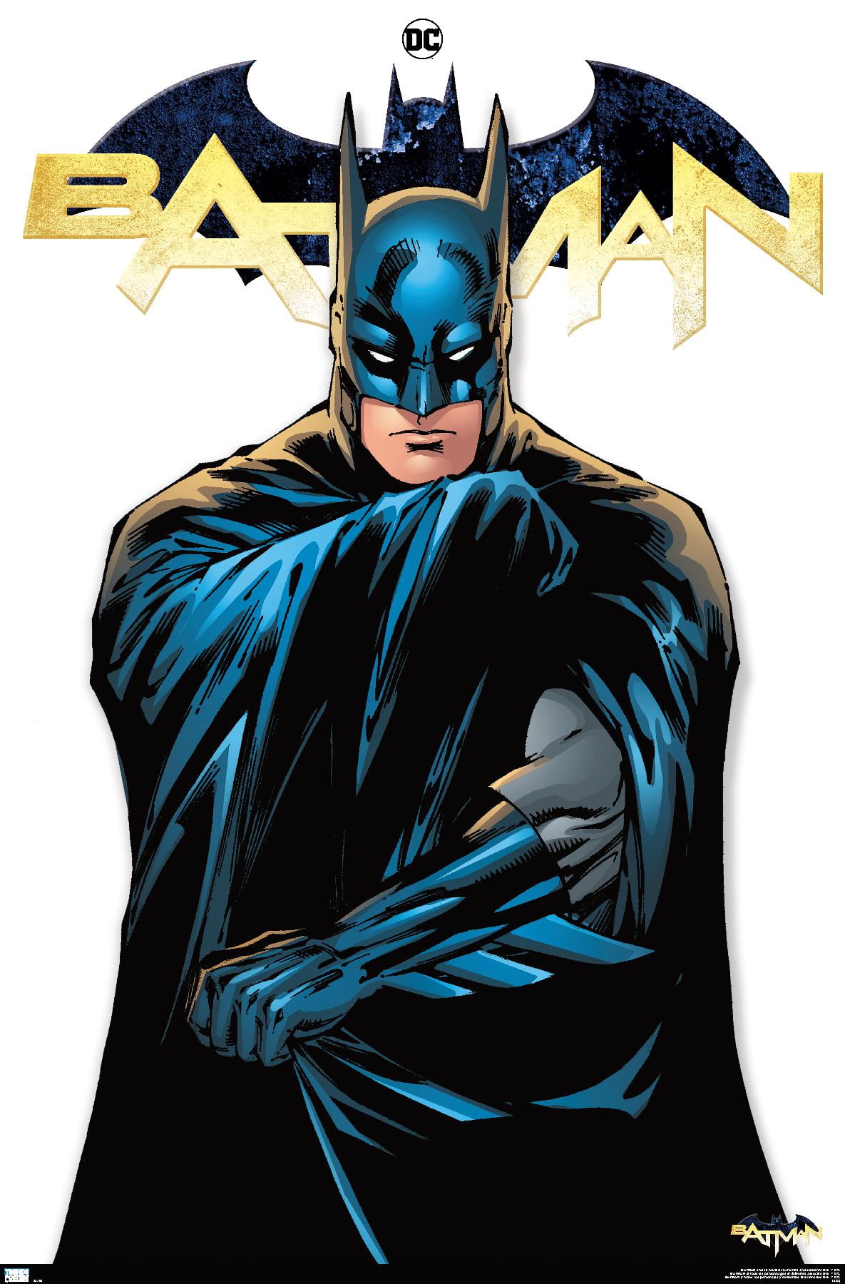 DC Comics Batman Feature Series Wall Poster, 22.375" x 34" - Walmart.com