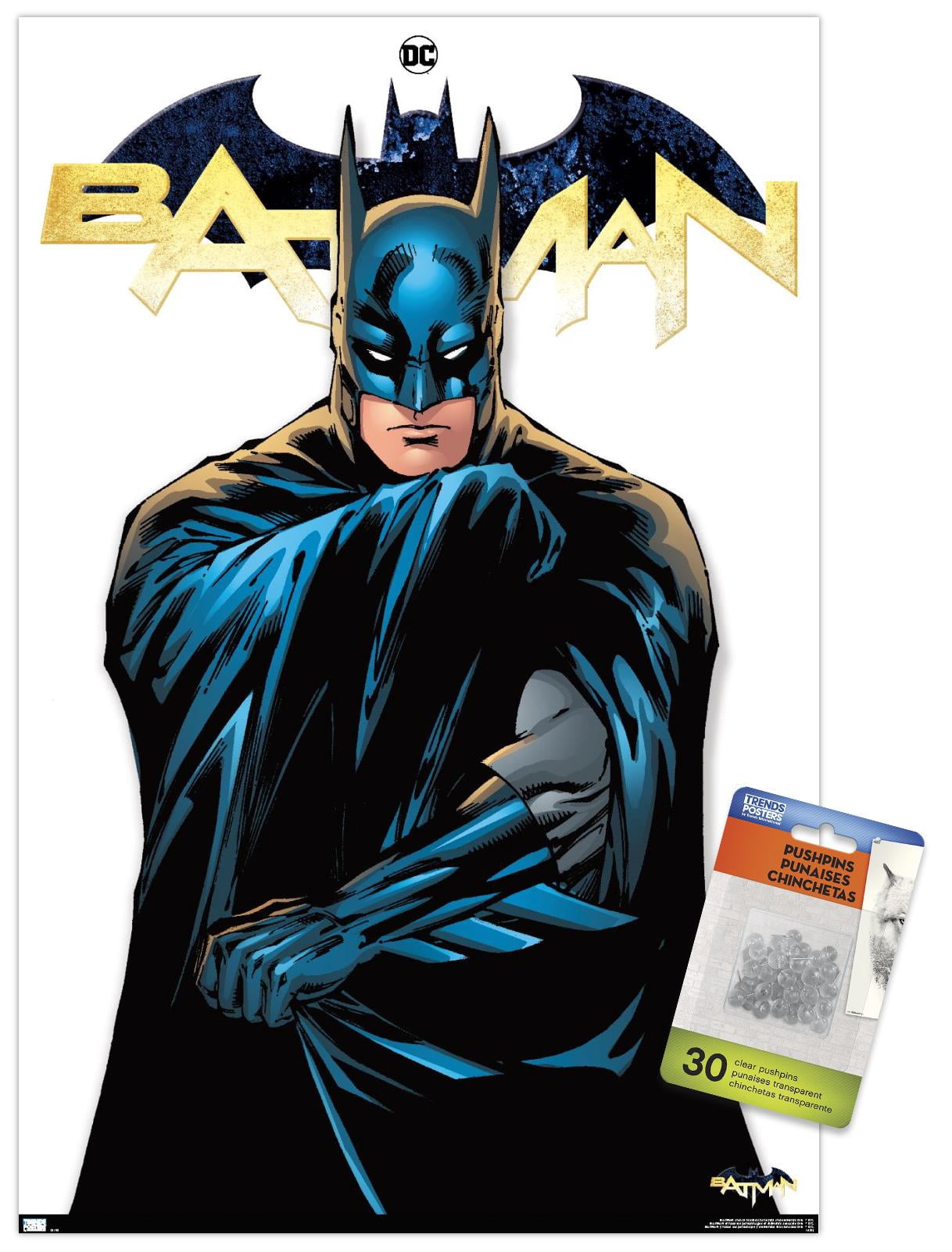 DC Comics - Batman Feature Series Wall Poster with Push Pins, 14.725" x ...