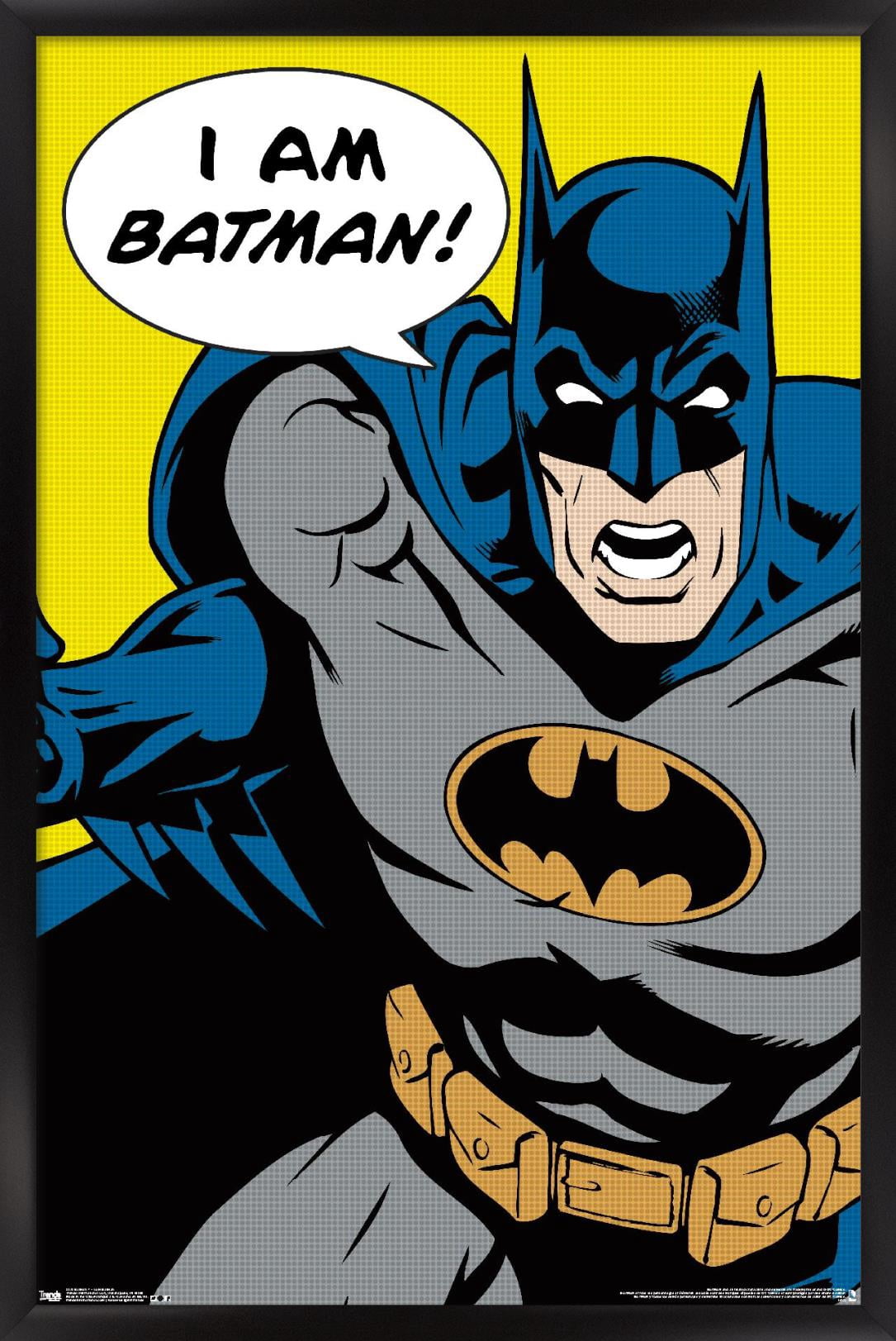 DC Comics - Batman - I Am Batman Wall Poster, 22.375" x 34", Framed ...
