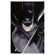 DC Comics - Batman - Robin - Superman - Batter Wall Poster, 22.375" x ...