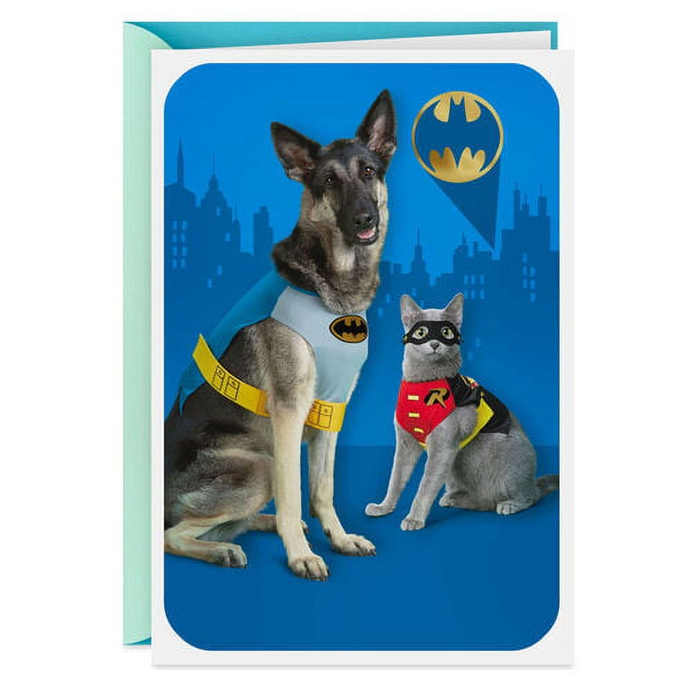 Batman And Robin Birthday Card