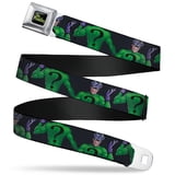 DC Comics Belt, Seatbelt Buckle Belt, Batman Villain The Riddler Pose ...