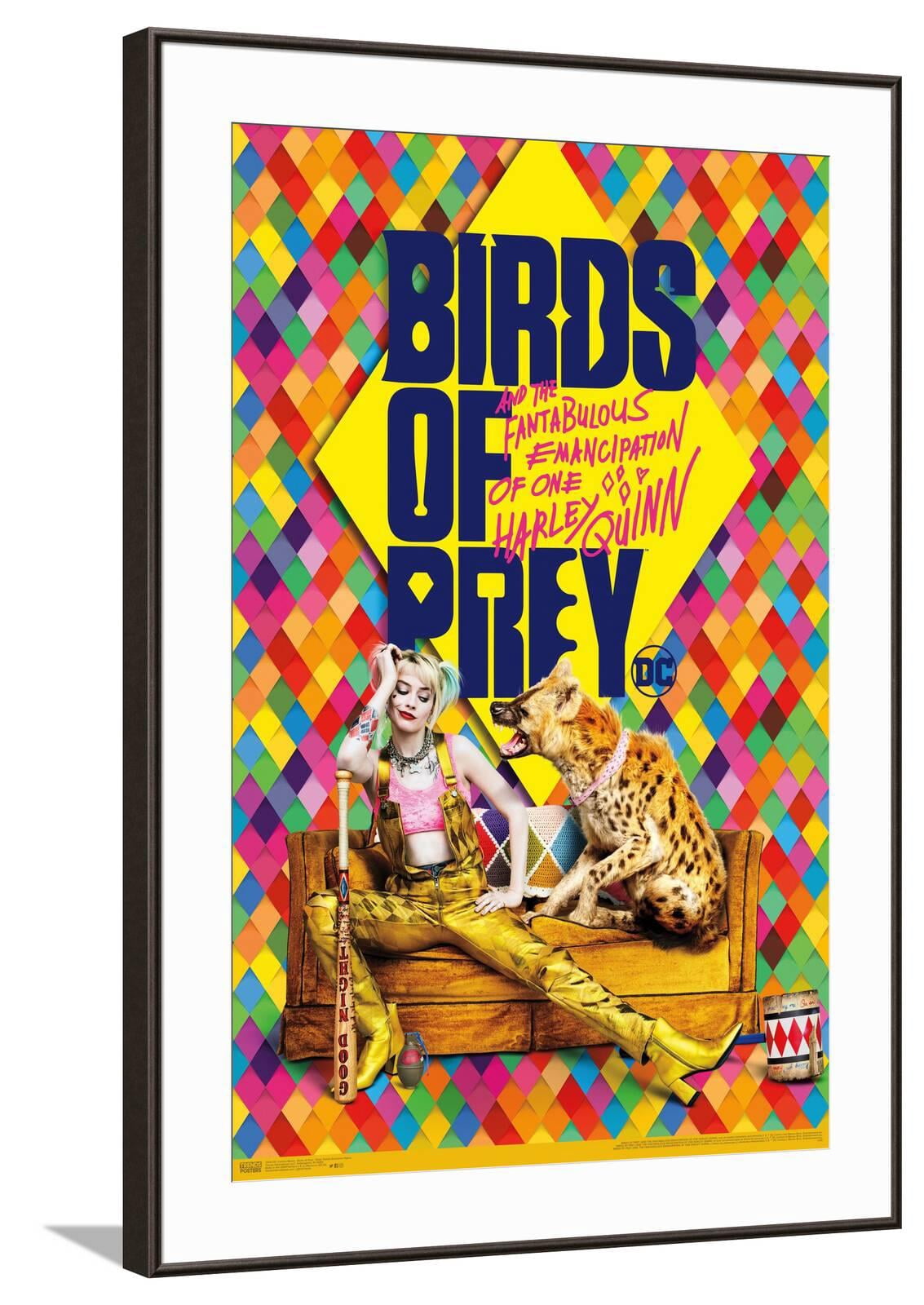 DC Comics Birds Of Prey - Hyena Canvas Wall Poster, 22.375" x 34 ...