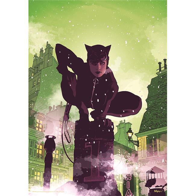 DC Comics (Catwoman - Chimney Stacks) MightyPrint™ Wall Art - Walmart.com