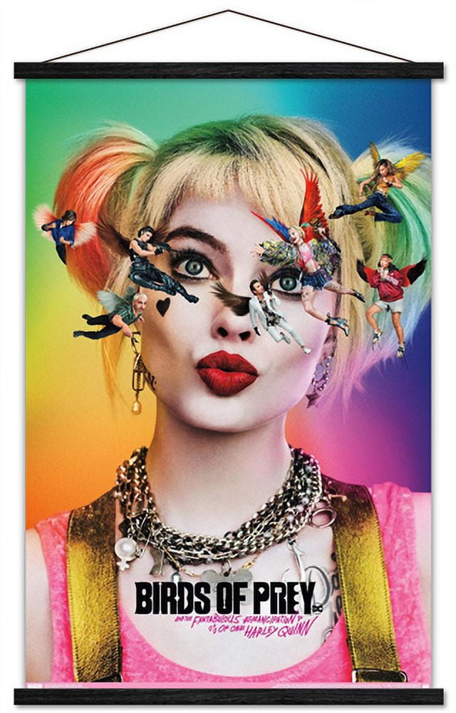 DC Comics Movie - Birds Of Prey - Teaser Wall Poster with Magnetic ...