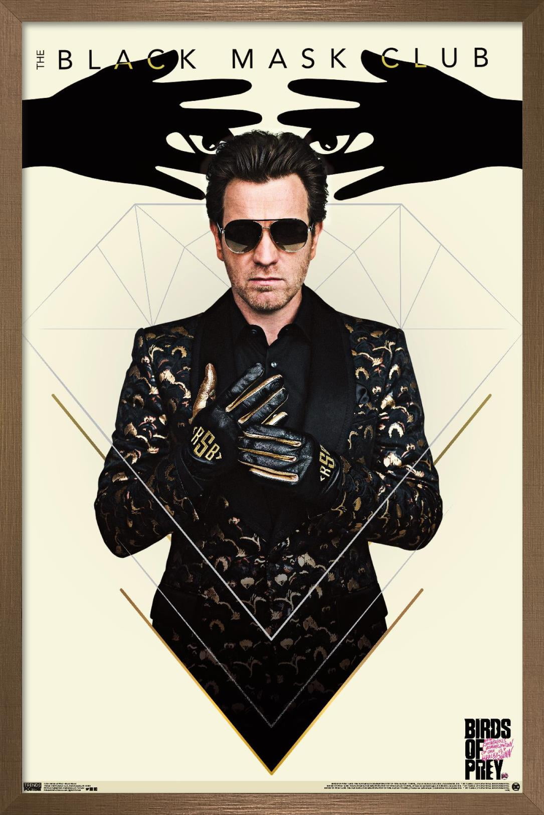 DC Comics Movie - Birds of Prey - Black Mask Wall Poster, 14.725" x 22. ...