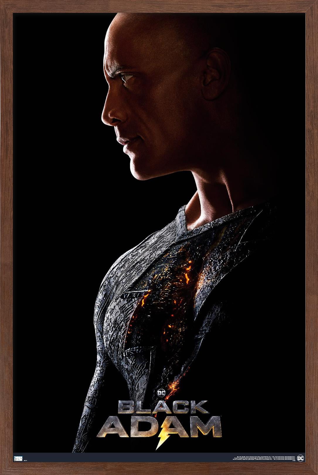DC Comics Movie Black Adam - Profile One Sheet Wall Poster, 22.375" x ...