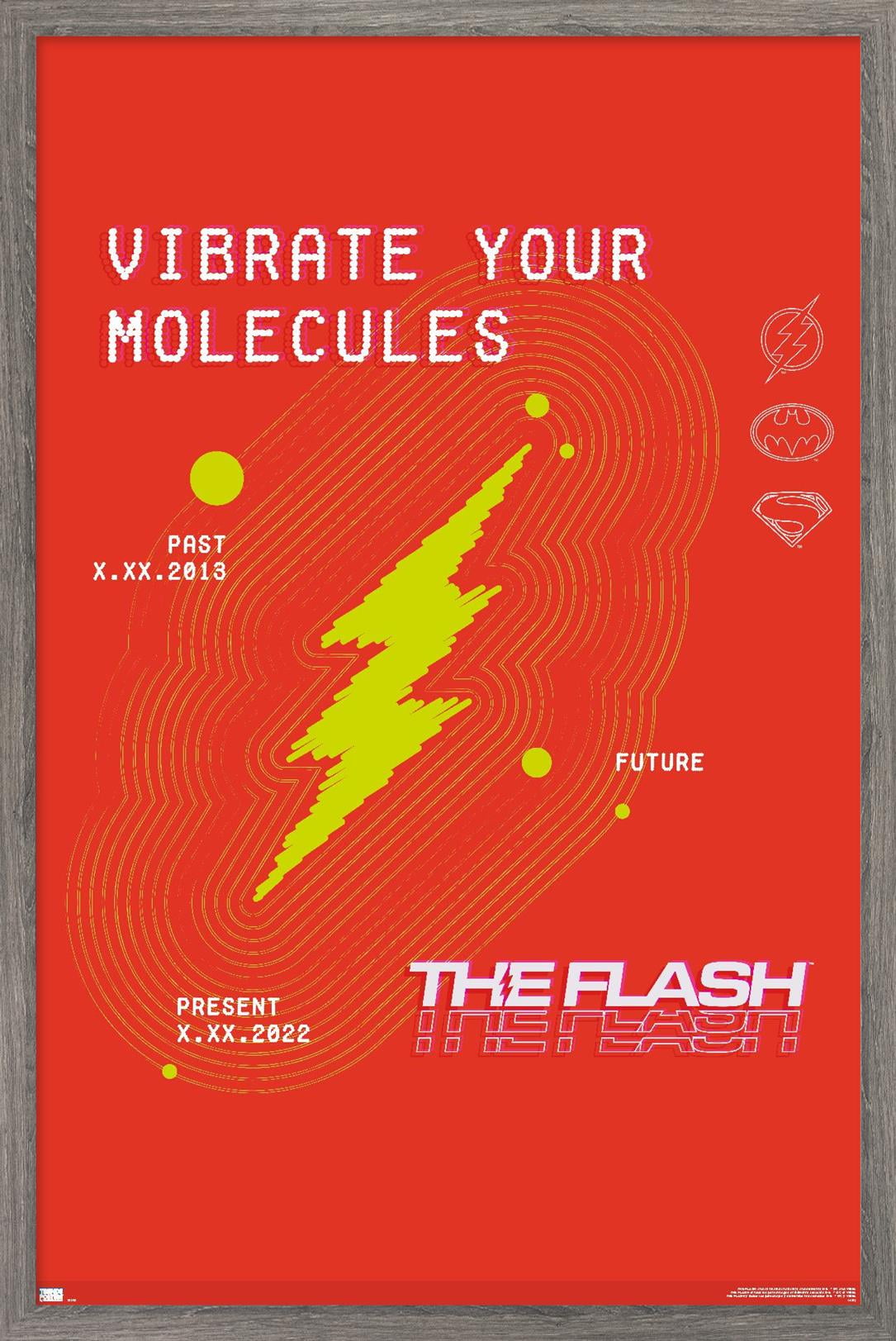 DC Comics Movie The Flash - Vibrate Your Molecules Wall Poster, 14.725 ...