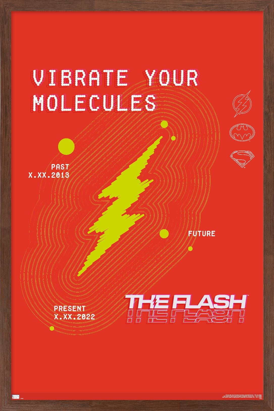 DC Comics Movie The Flash - Vibrate Your Molecules Wall Poster, 22.375 ...