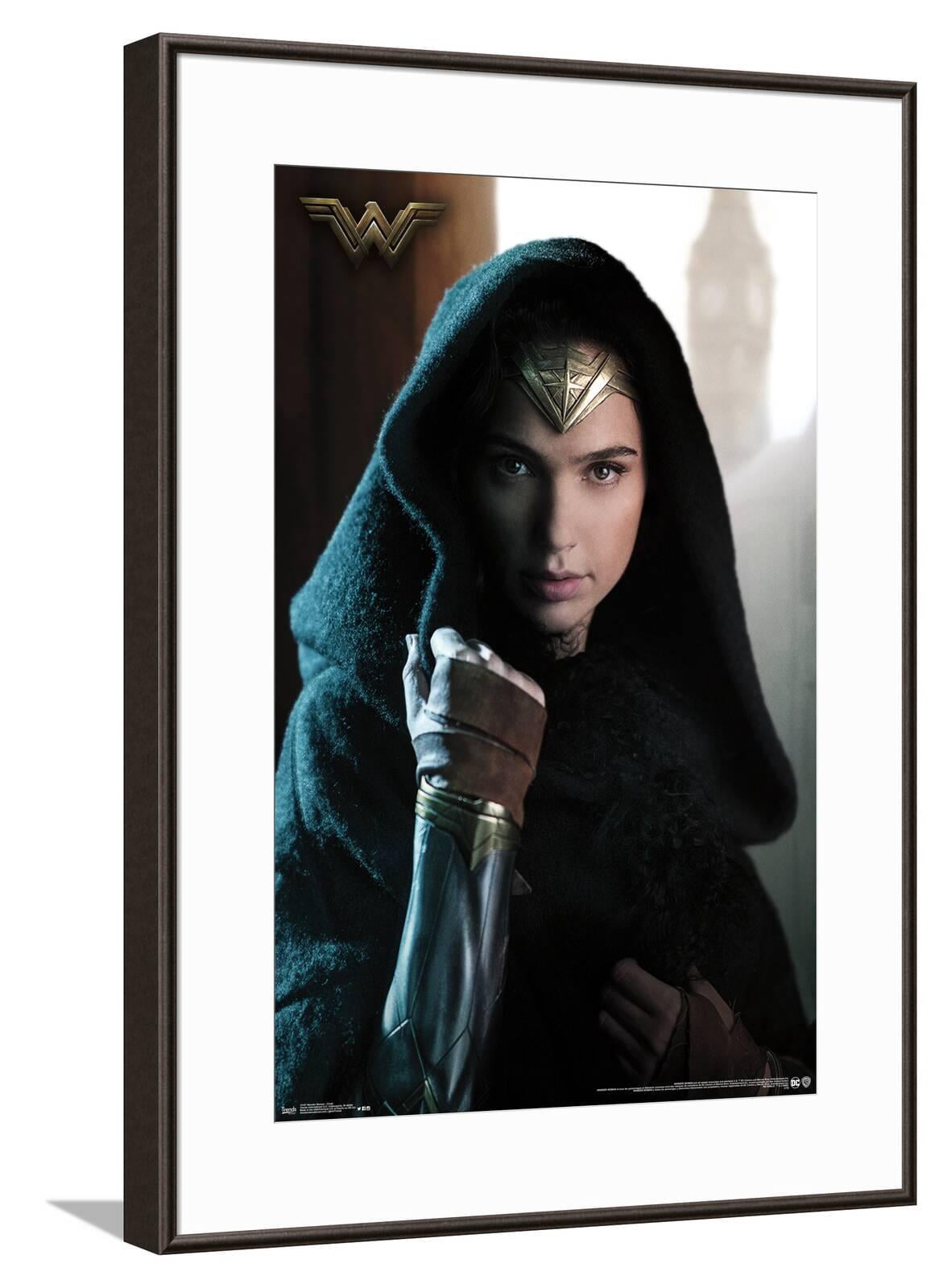 DC Comics Movie Wonder Woman - Cloak Canvas Wall Poster, 14.725" x 22. ...