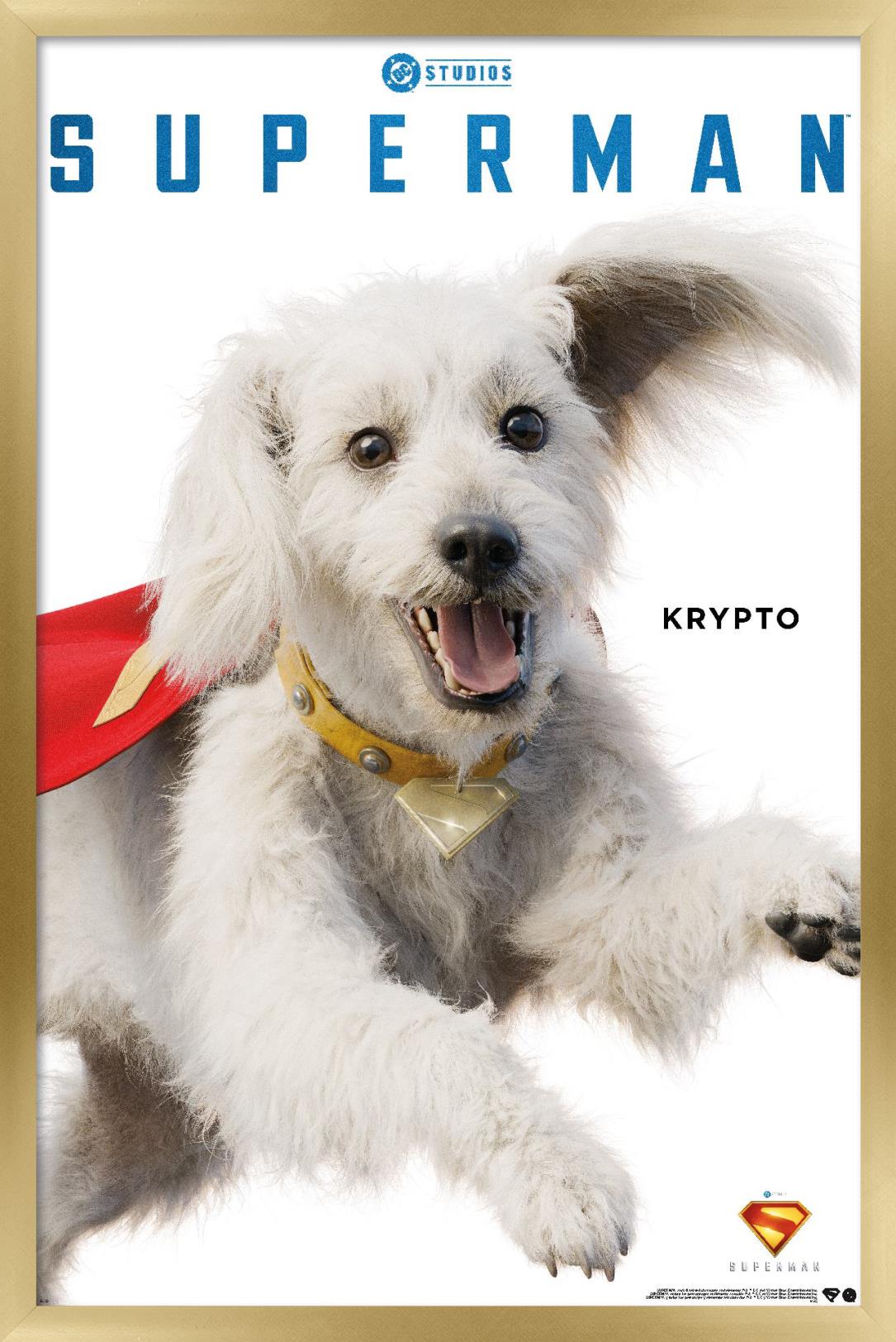 DC Comics Superman (2025) - Krypto Feature Series Wall Poster, 14.725 ...