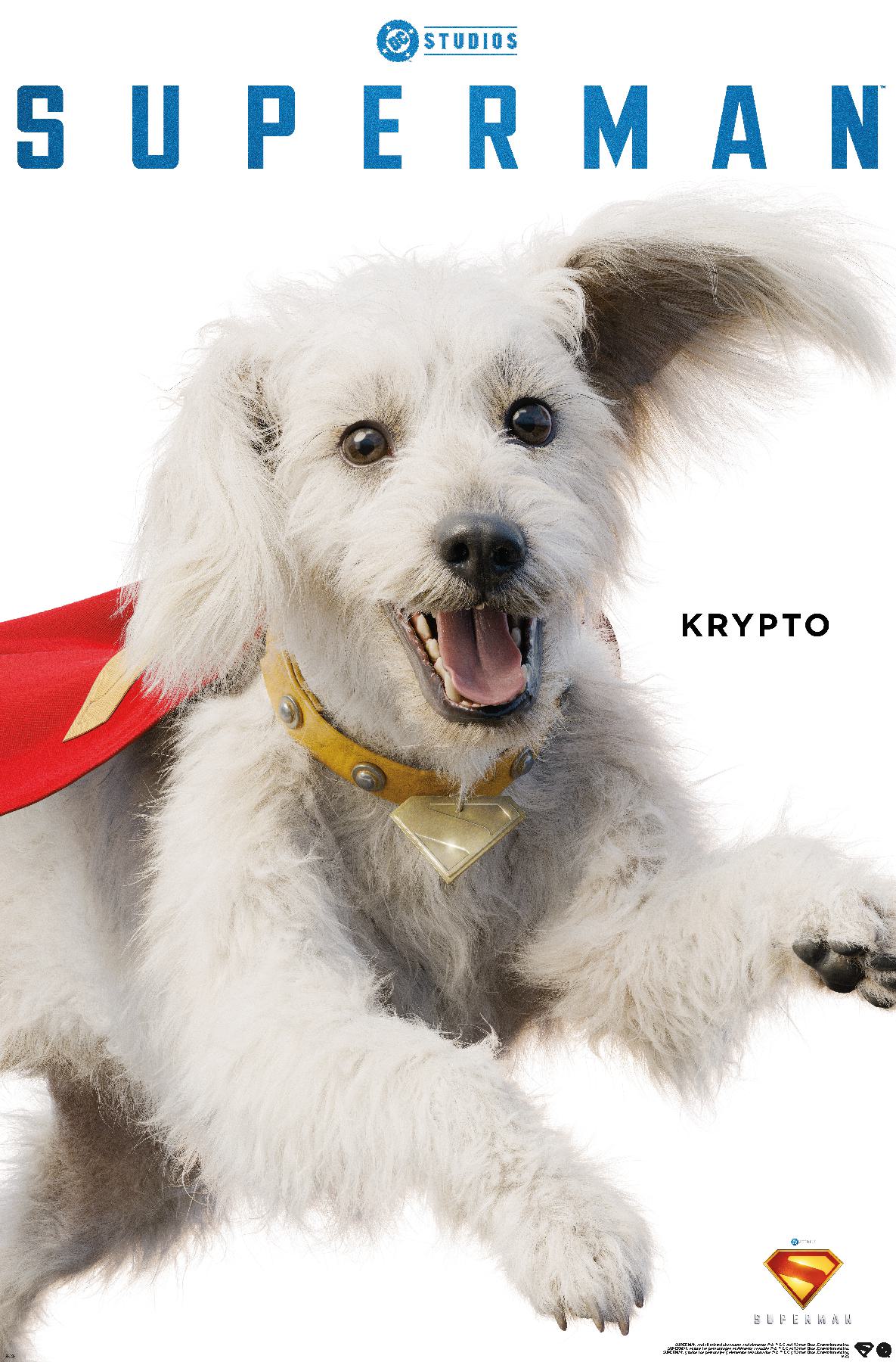 DC Comics Superman (2025) - Krypto Feature Series Wall Poster, 14.725 ...